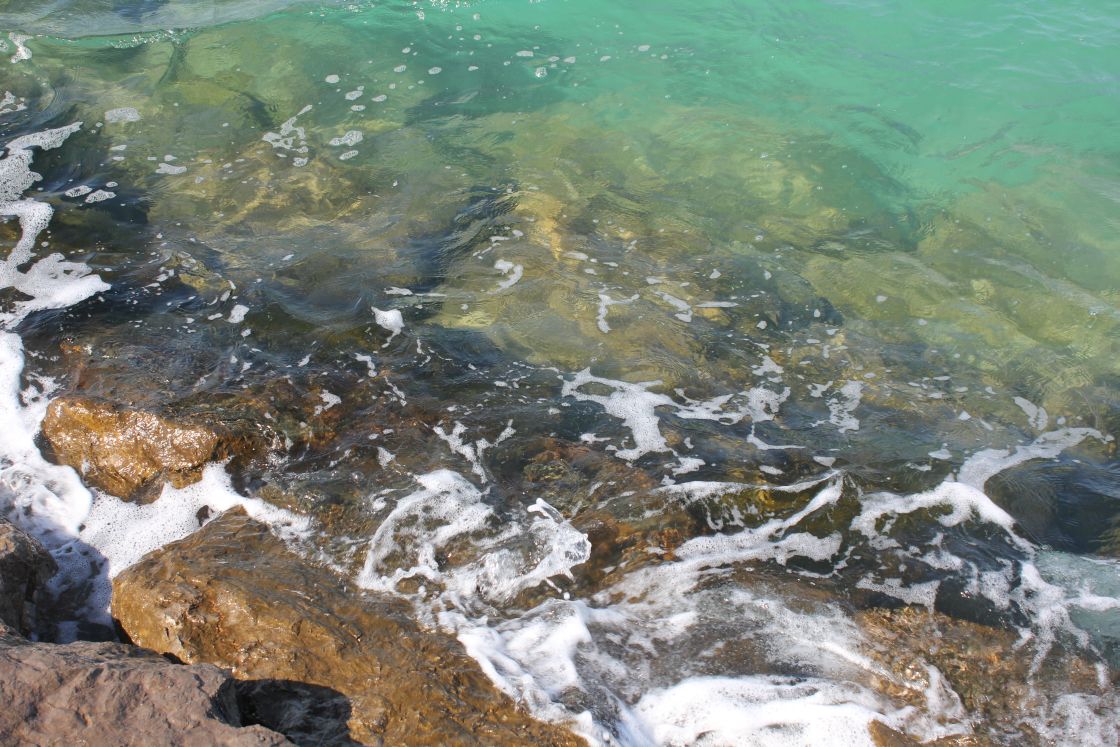 Dalma Island - Home - Abu Dhabi - United Arab Emirates